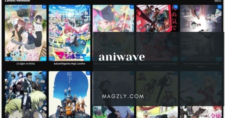 Aniwave Shutdown Explained – What’s Next for Anime Fans - magzly.com